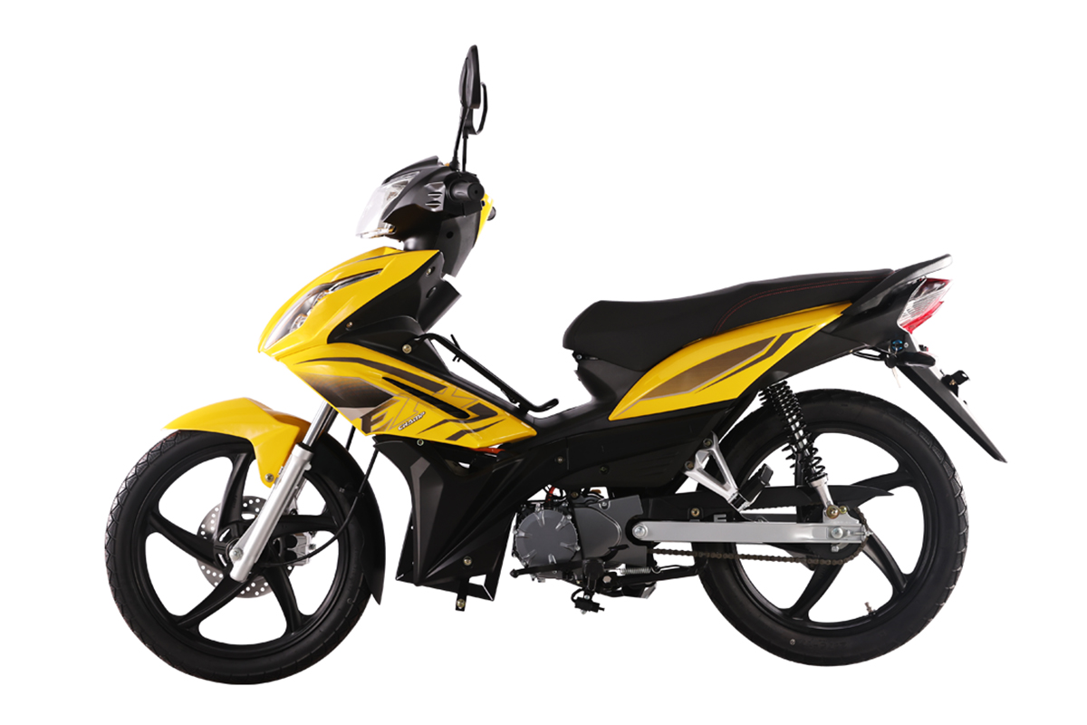 Electric Motorcycle CP1000D-8A Manufacturer - CHAMP