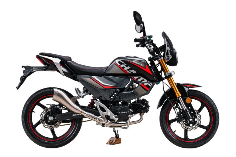 Dragon Knight 125cc 150cc Motorcycle Manufacturer - CHAMP